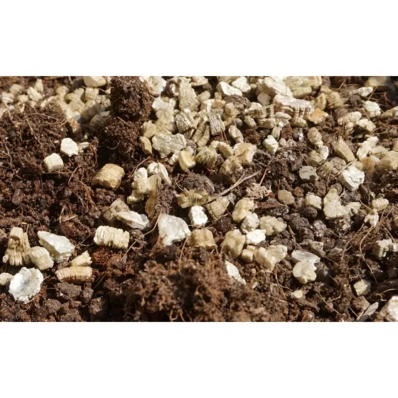 Cuernos De Toro Ecuador | MercadoLibre.com.ec