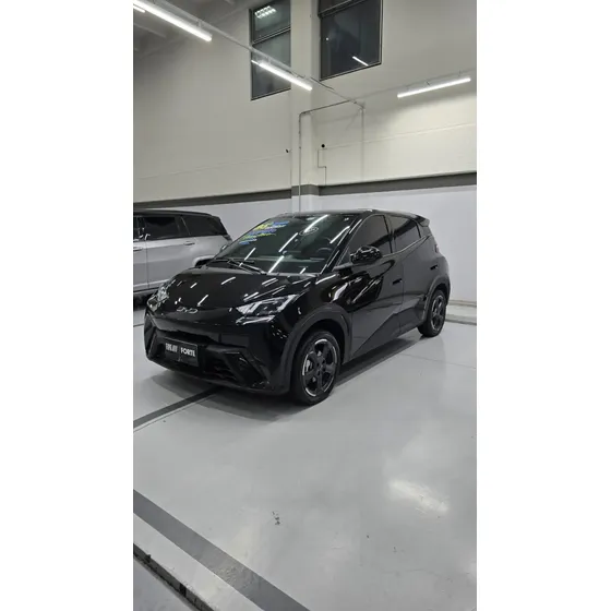 BYD Dolphin 2025: 22 carros a partir de R$ 150,000
