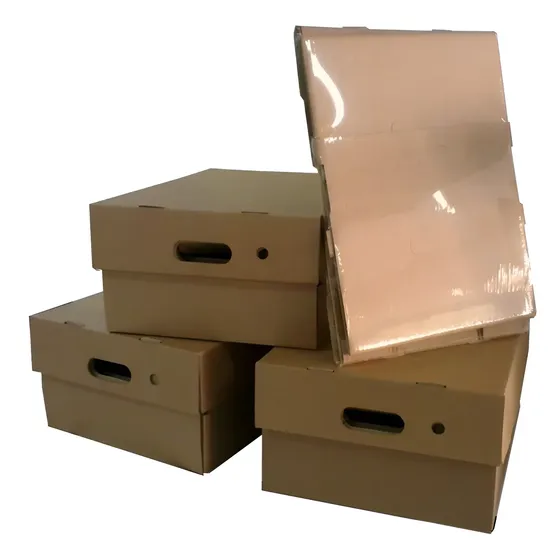 Cajas Carton | MercadoLibre 📦