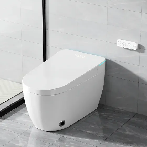 Wc Inteligente | MercadoLibre