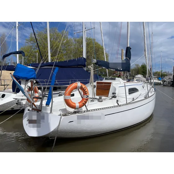 Velero Usado Con Orza | MercadoLibre 📦