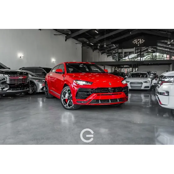 Rododendron Biedronka 2022 | MercadoLibre.com.do
