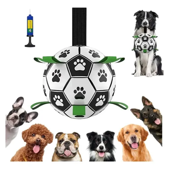 Pelota Interactiva Perro | MercadoLibre