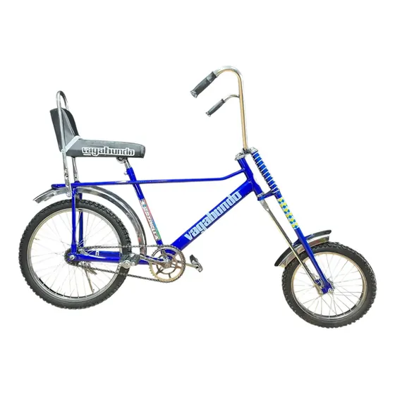 Bicicleta Vagabundo | MercadoLibre