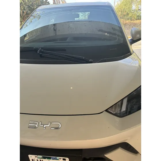 BYD Dolphin: 29 autos a partir de $300,000 MXN