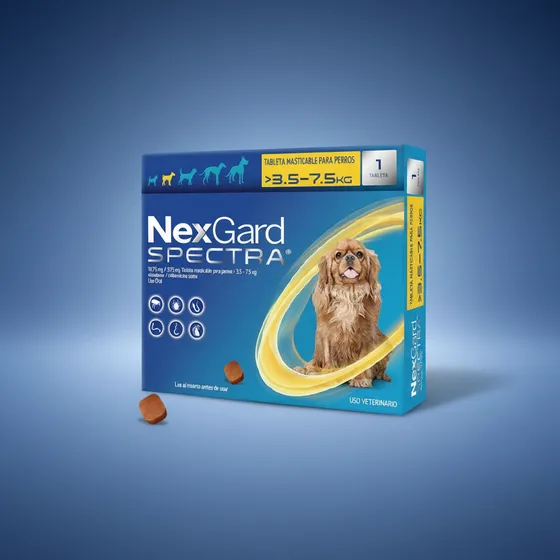 Pastilla Pulgas Perro Nexgard | MercadoLibre