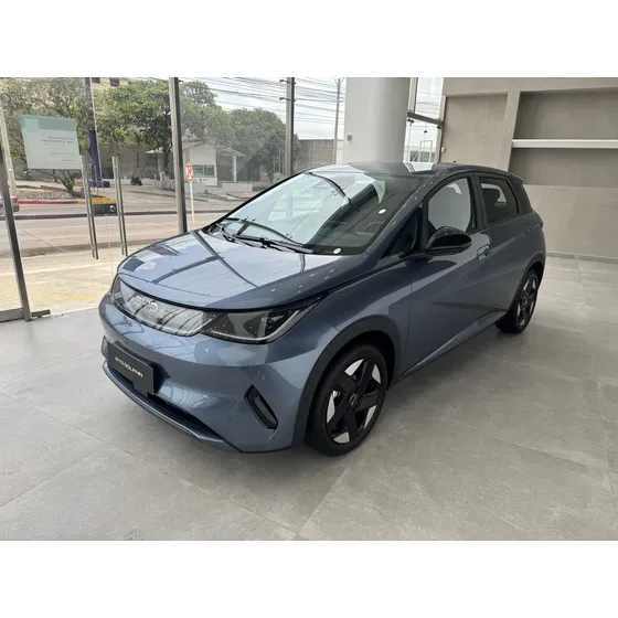 Dolphin | Mercado Libre 🚗
