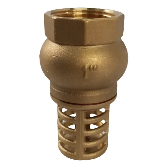 Pichancha 1 " | MercadoLibre 📦