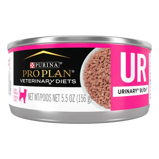 Cuanto Kilo Carne Precio - Perros | TuCarro