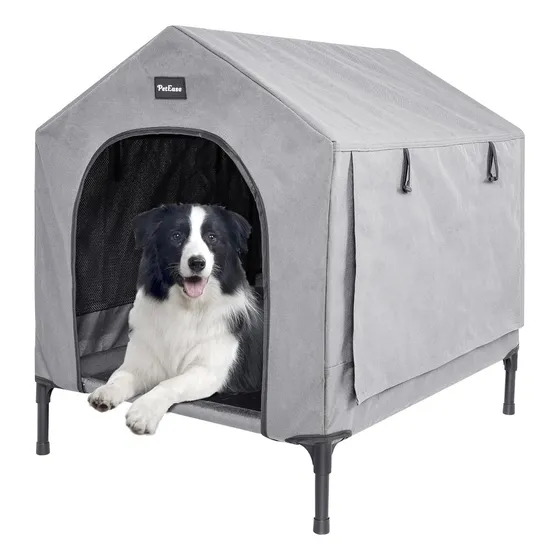 Aceptan Perros En La Casa De La Zacatecana | MercadoLibre.com.do