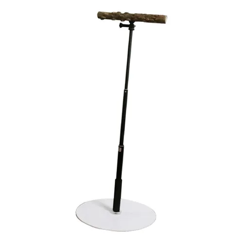 Parrot stand store