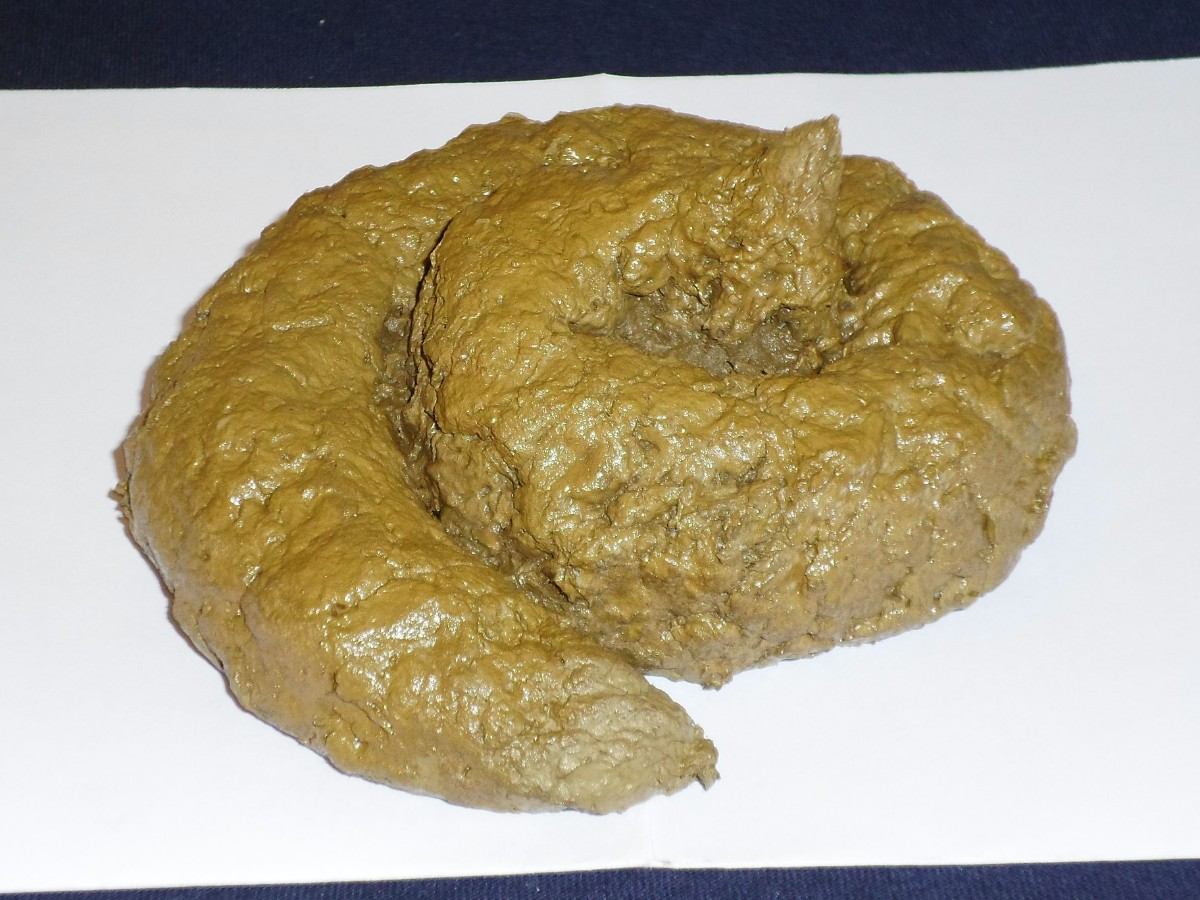 Bosta Artificial Realista + Receita Com Fotos R$10,00 - R$ 9,99 em ...