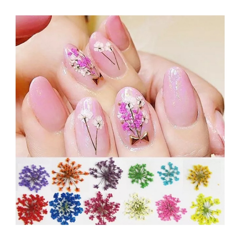 12 Flores Seca Decoração Unhas Salão Manicure Oferta R 14 00 Em