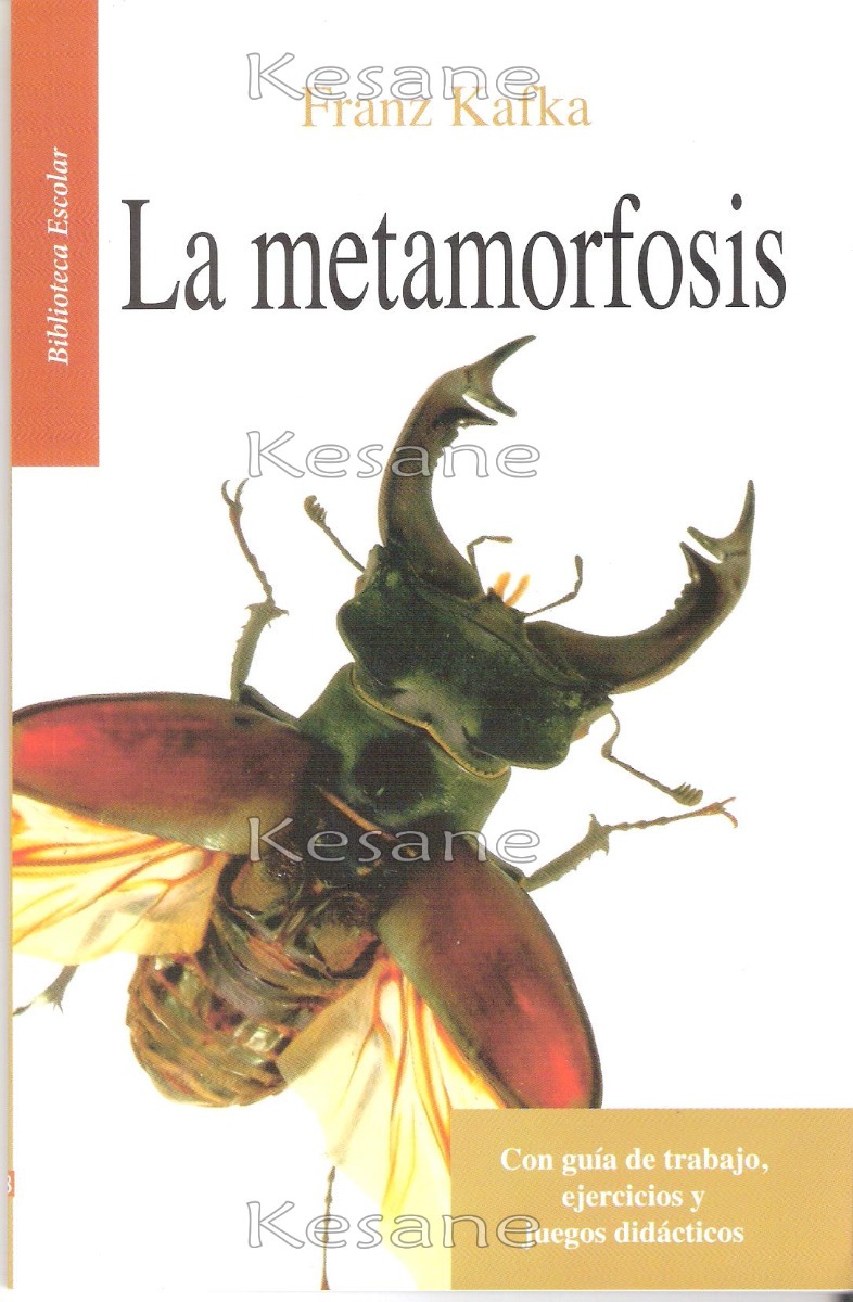 La Metamorfosis Frank Kafka Principe De Libros
