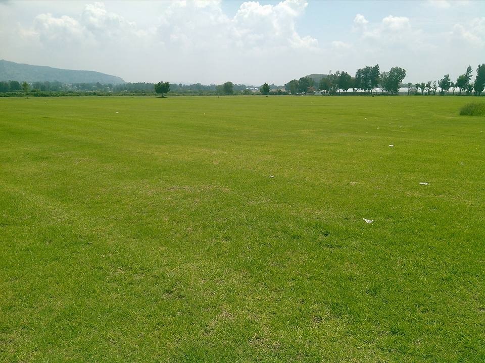 Pasto En Rollo - $ 17.00 en Mercado Libre